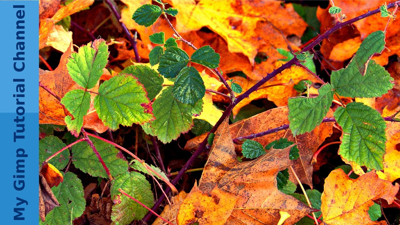 Raw File bearbeiten mit Gimp 2.9 und PhotoFlow plug-in - YouTube