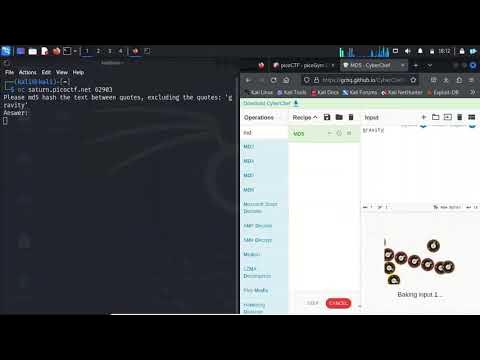 Cracking the Code: picoCTF General Skills - HashingJobApp Walkthrough (Beginner Friendly) - YouTube