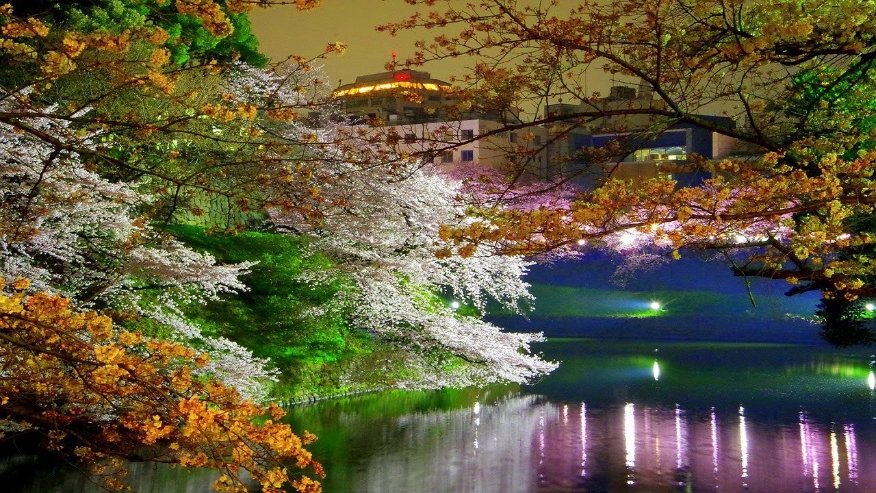 30 Minute Relaxing Music Along With Beautiful Nature Videos - 4K Video ...
