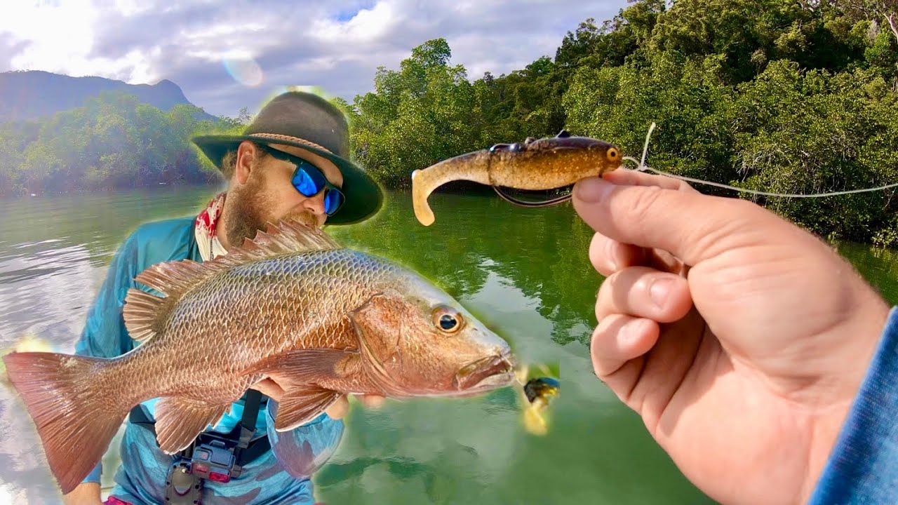NEW FAVOURITE TOPWATER LURE!!! Jacks & Barra (how to guide) - YouTube