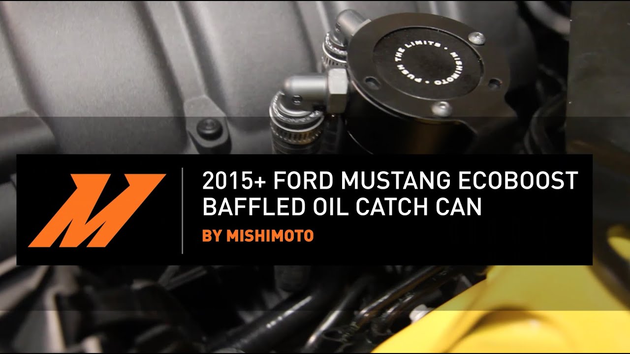 2015+ Ford Mustang EcoBoost Baffled Oil Catch Can, PCV Side Install ...