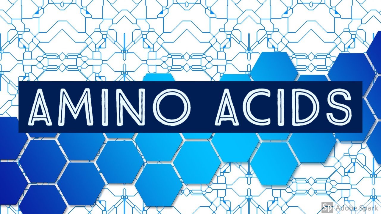 Amino acids || Proteins|| Biomolecules || Class XII || Chapter 14 - YouTube