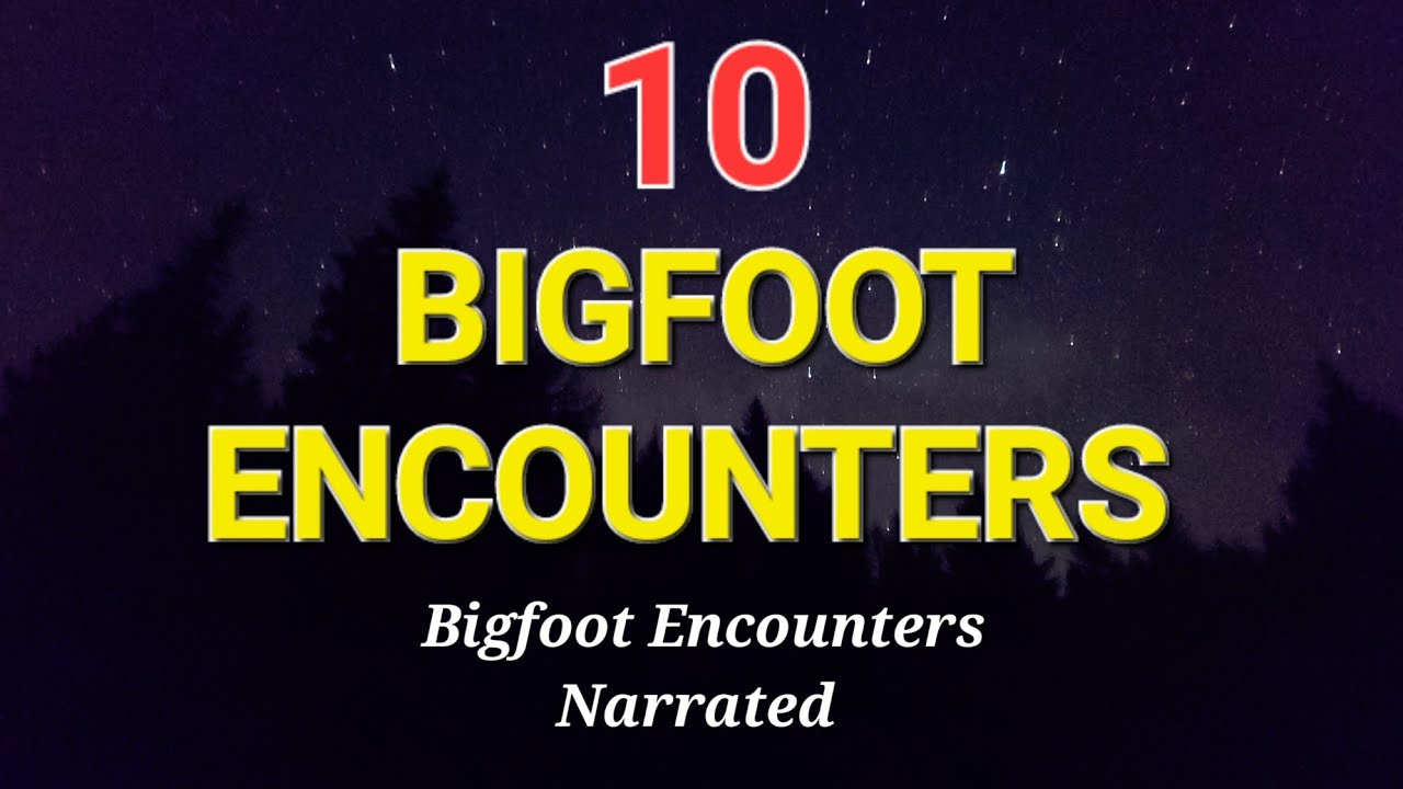 10 BIGFOOT ENCOUNTERS - Popular Bigfoot Encounters Narrated Stories ...