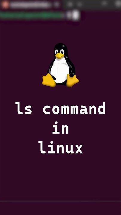 1/10 Basic Linux Commands | ls command Explained in 20 Seconds #shorts #linux - YouTube