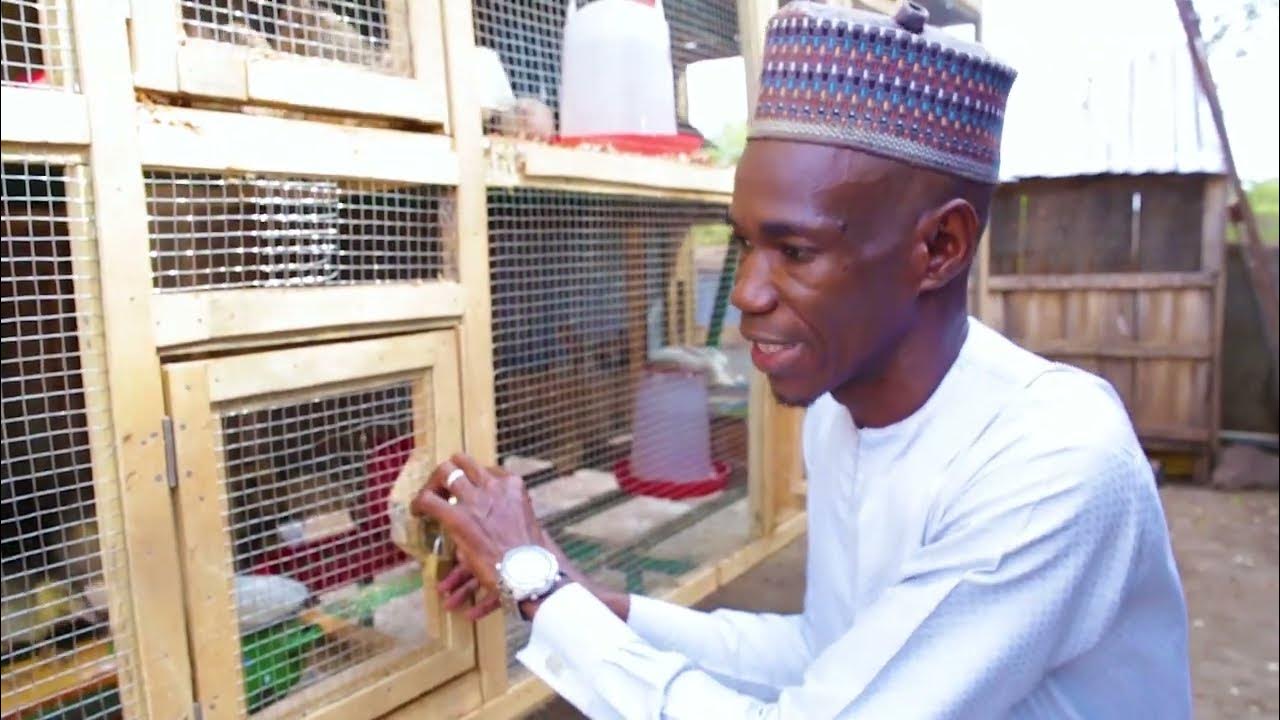 Micro ferme Famanta agro business Bamako - Mali - YouTube