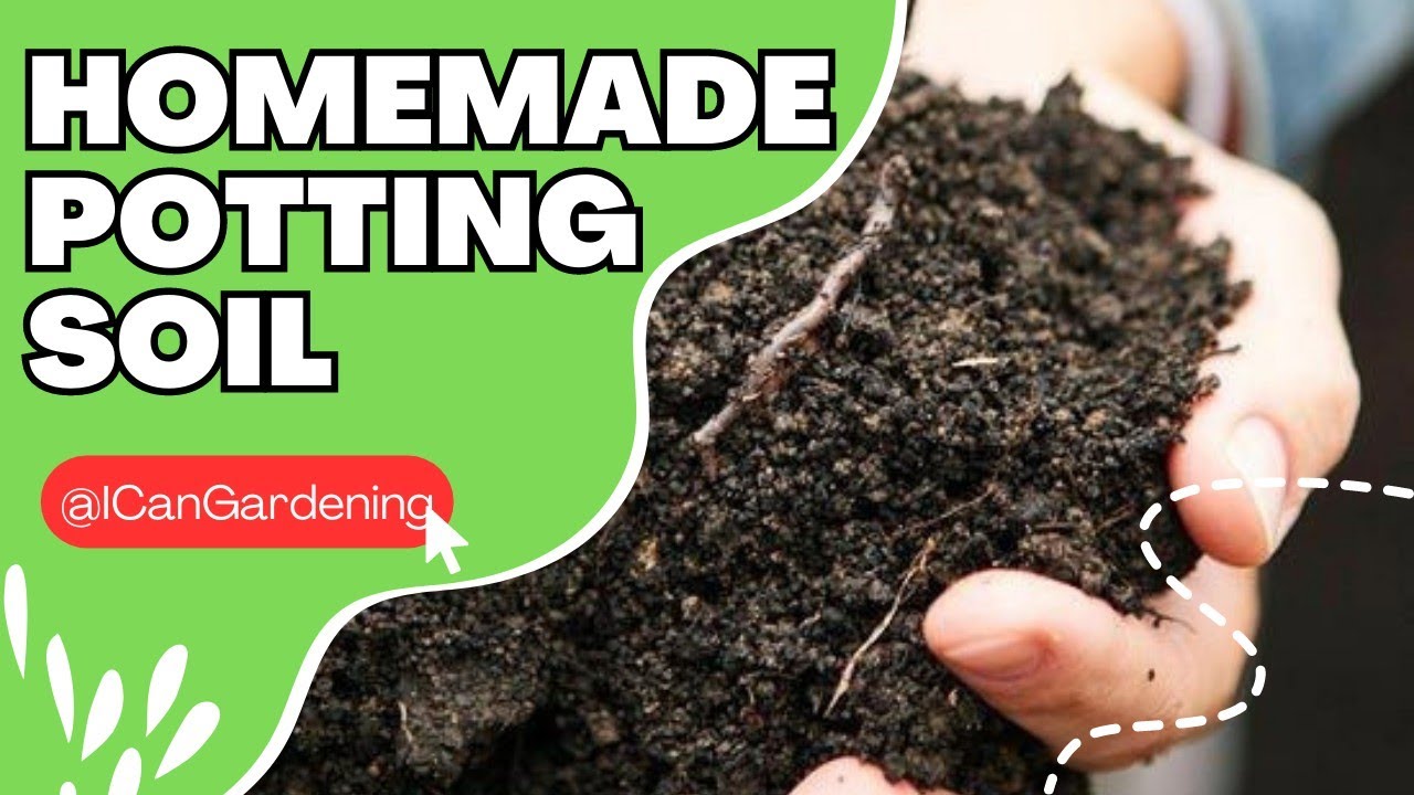 DIY Guide: Creating Homemade Potting Soil for Healthy Plants - YouTube