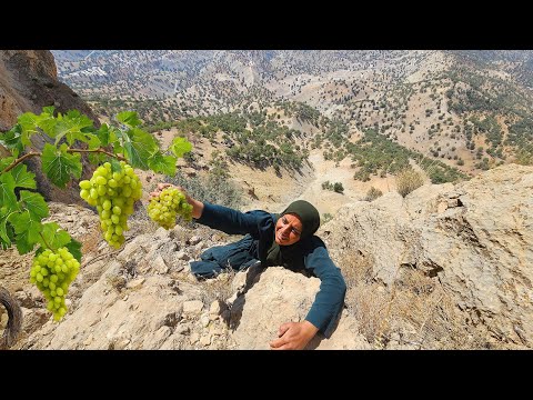 🍇⛰️ Crossing Cliffs for Grapes | Soghra’s Sacrifice for Her 7 Children ❤️👩‍👧‍👦