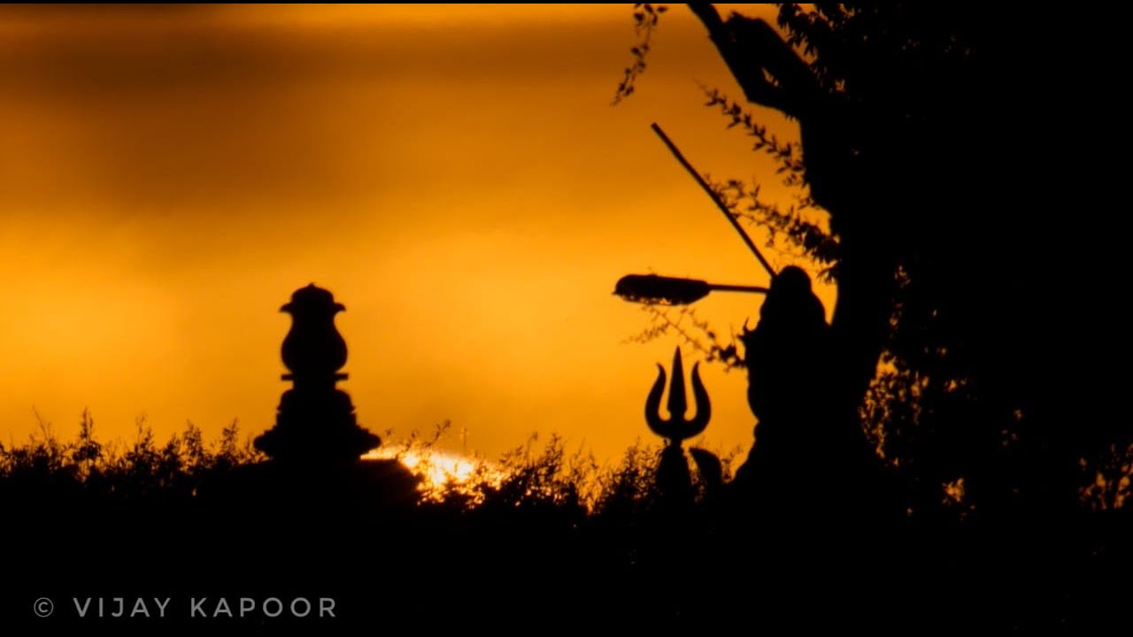 How I spend time in Chiguru Farm | Chiguru Farm - YouTube