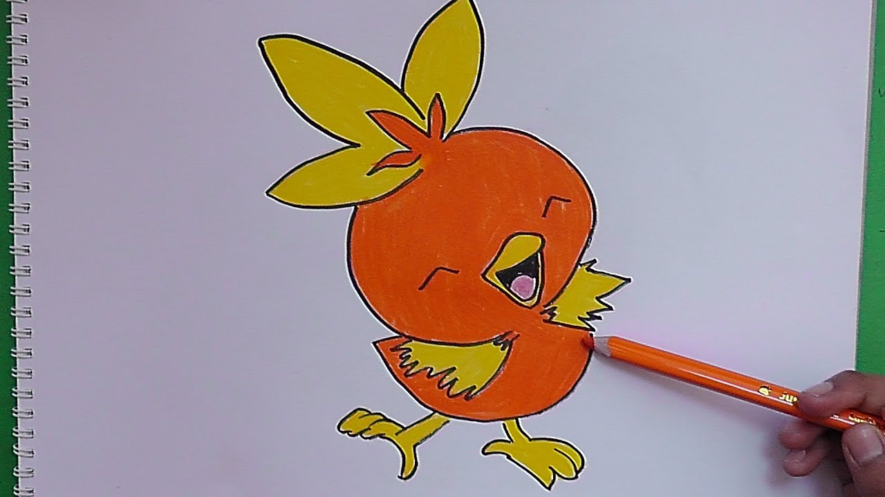 Dibujando y coloreando a Torchic (Pokemon) - Drawing and coloring ...