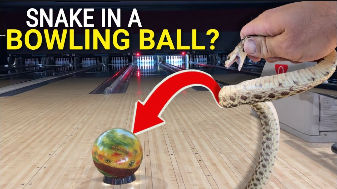 Ebonite Optyx Snake Bowling Ball - YouTube