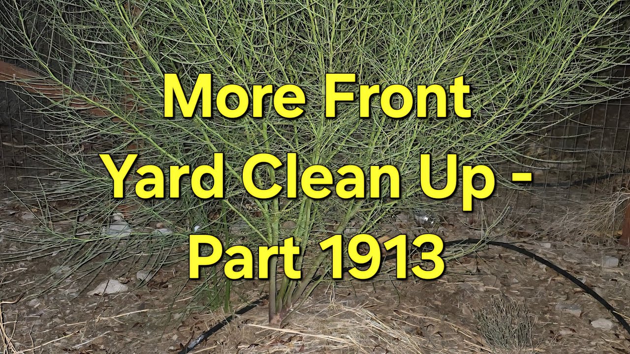 More Front Yard Clean Up - Part 1913 - YouTube