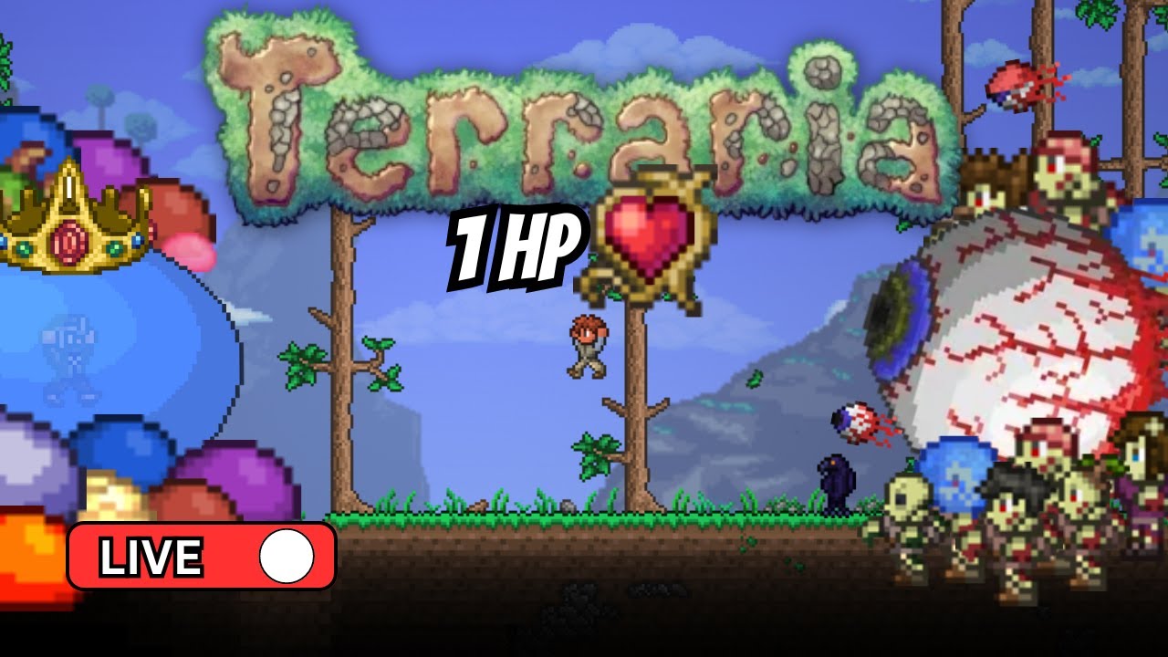 Terraria 1 HP HARDCORE - YouTube