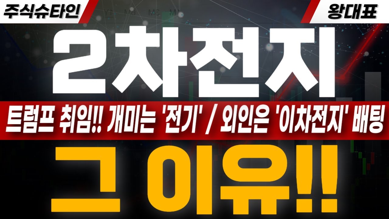 2차전지 Lg엔솔 삼성sdi 금양 포스코홀딩스 에코프로 엘앤에프 트럼프 취임 개미는 전기 외인은 이차전지 배팅하는 이유 2차전지 Youtube