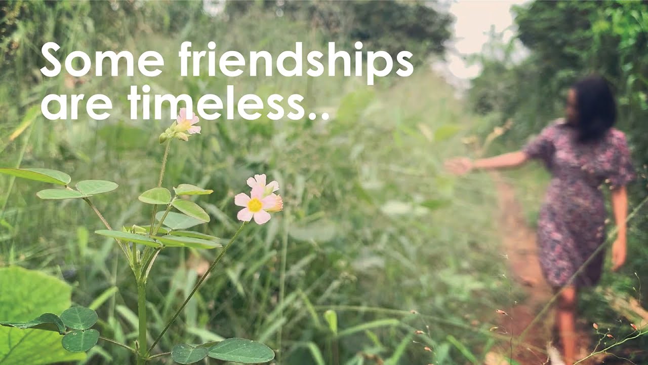 Some friendships are timeless... - YouTube