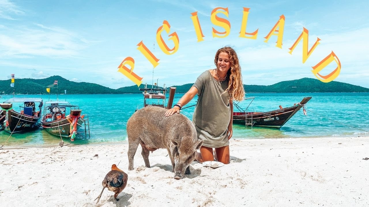 The BEST island in THAILAND! (PIGS!!!) - YouTube