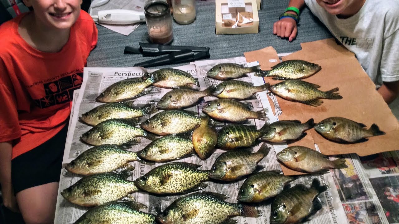 Northern Wisconsin panfish beat down - YouTube