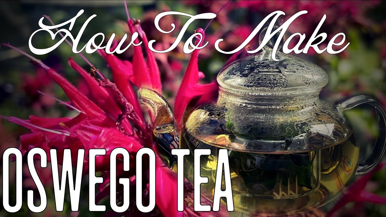 How To Make Oswego Tea - FROM GARDEN TO TABLE! - YouTube
