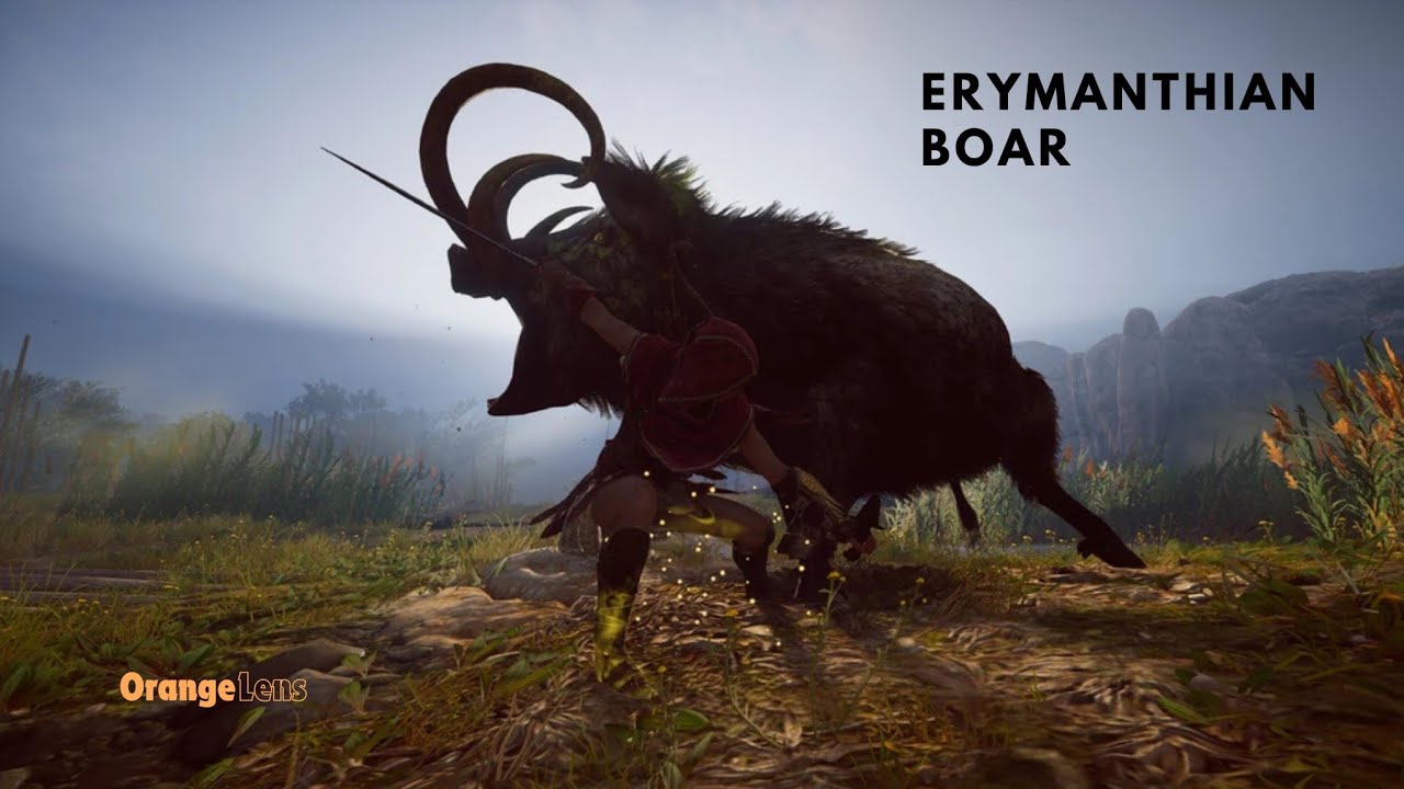 Legendary Creatures - Erymanthian Boar of Elis (Assassin's Creed ...