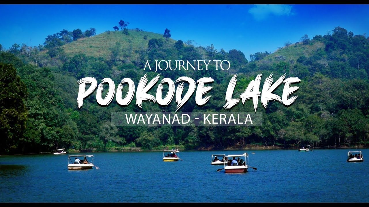 വയനാട്ടി‌ലെ പൂക്കോട് തടാകം | Pookode lake | Wayanad | Kerala Tourism ...