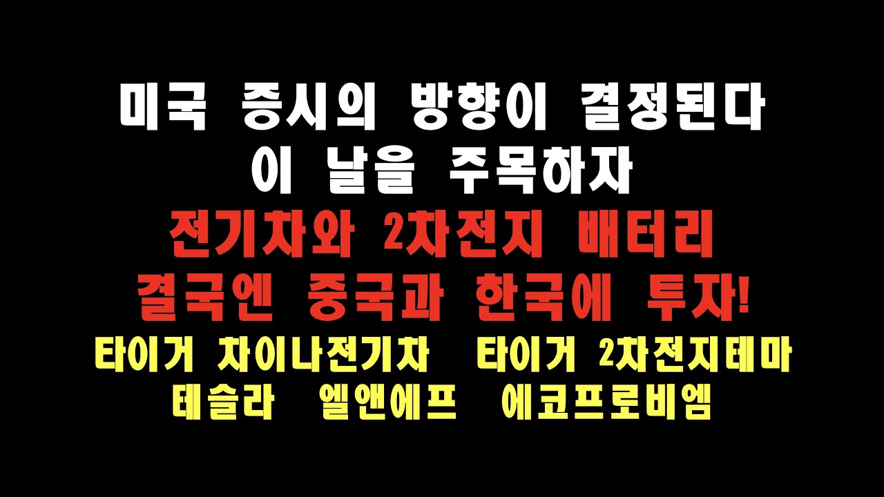 전기차와 2차전지 배터리 결국엔 중국과 한국에 투자 타이거 차이나전기차 타이거 2차전지테마 테슬라 엘앤에프 에코프로