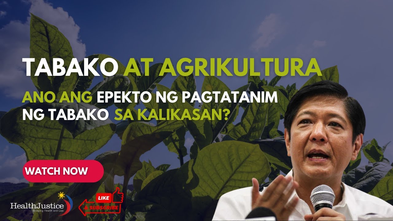 Tabako at Agrikultura: Pagtatanim ng Tabako at Kalikasan - YouTube