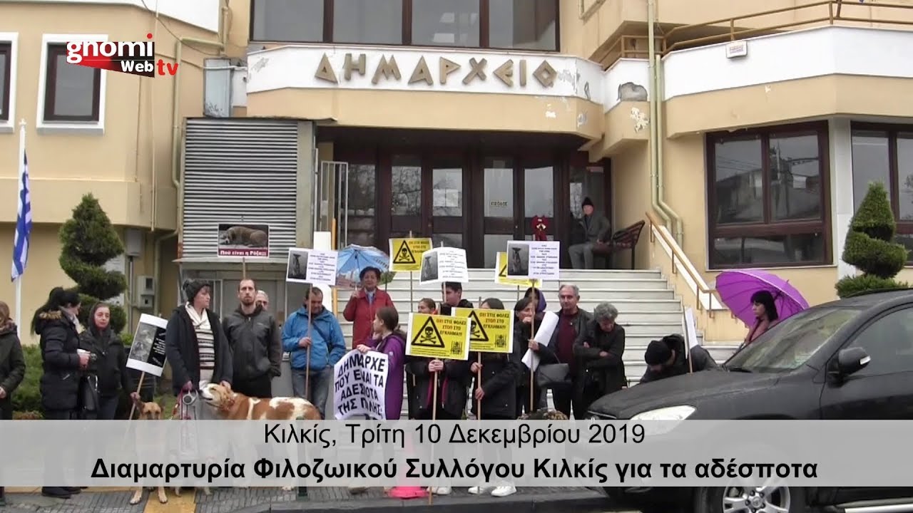 Διαμαρτυρία Φιλοζωικού Συλλόγου Κιλκίς για τα αδέσποτα - YouTube