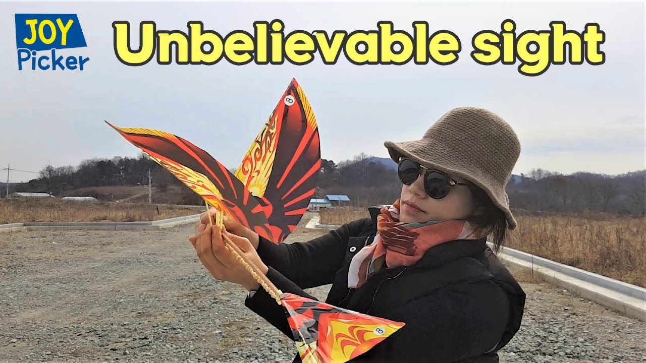 Surprising Secret! $1 Ornithopter flying bird kit DIY : Cool flight ...