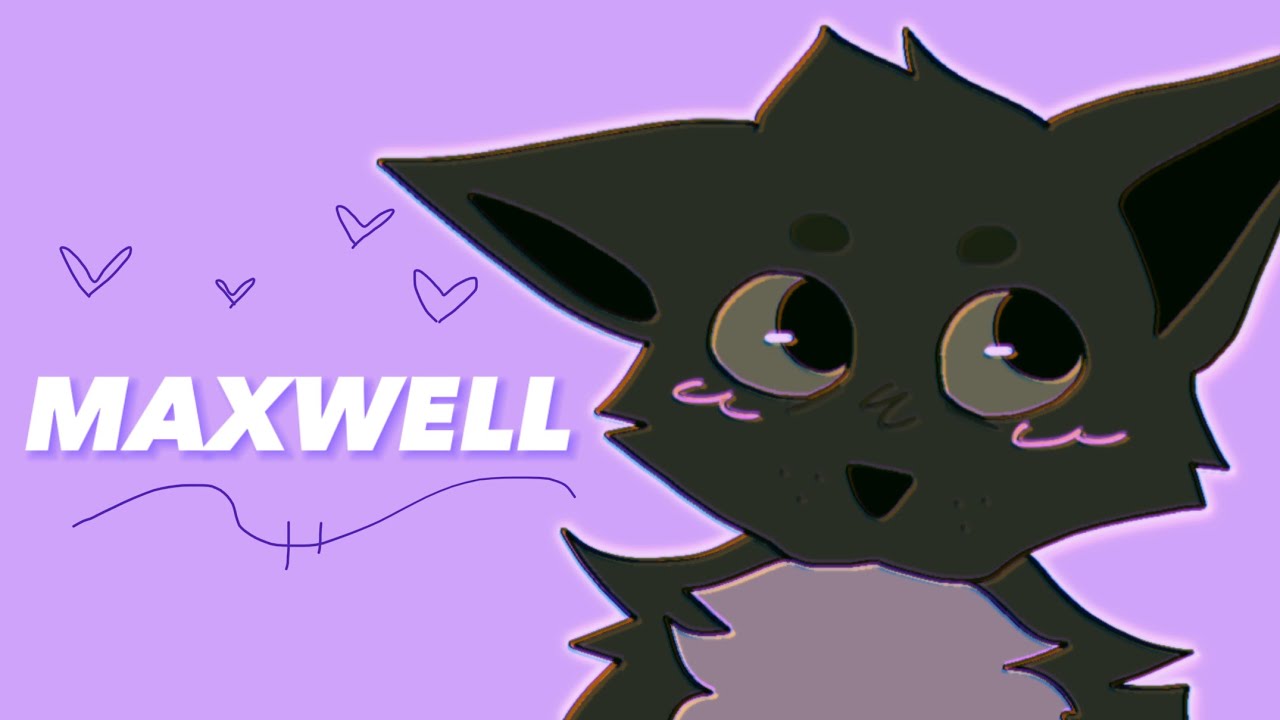 MAXWELL CAT - YouTube