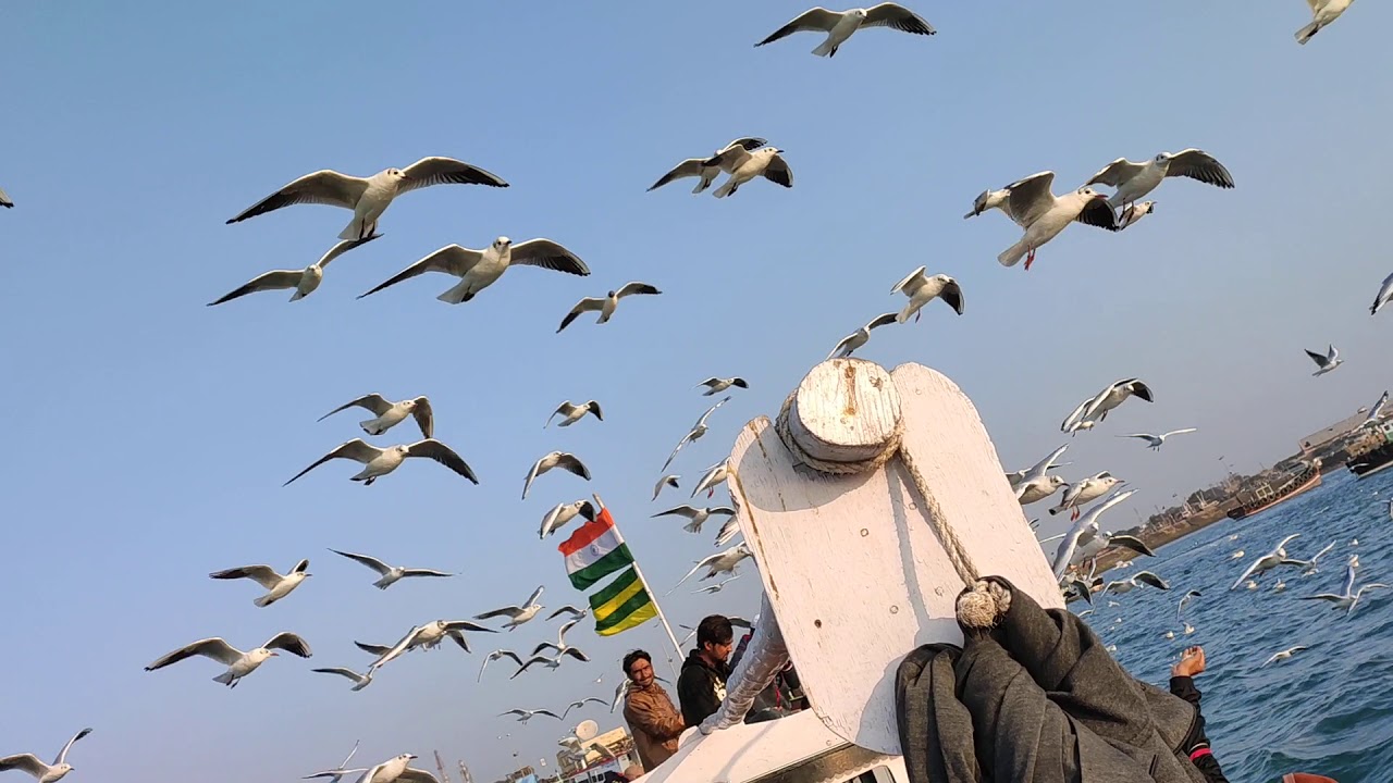 Bet Dwarka ferry ride | beautiful experience - YouTube