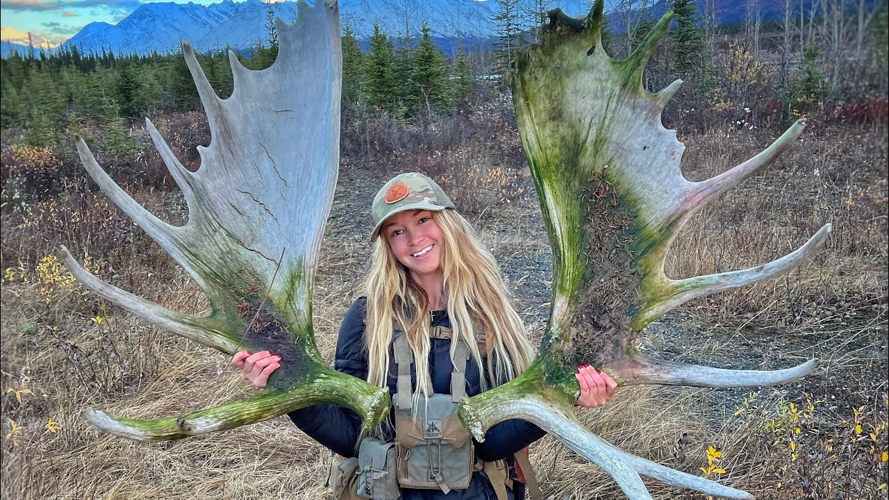 GIANT MOOSE SET! 30 Days in Alaska - YouTube