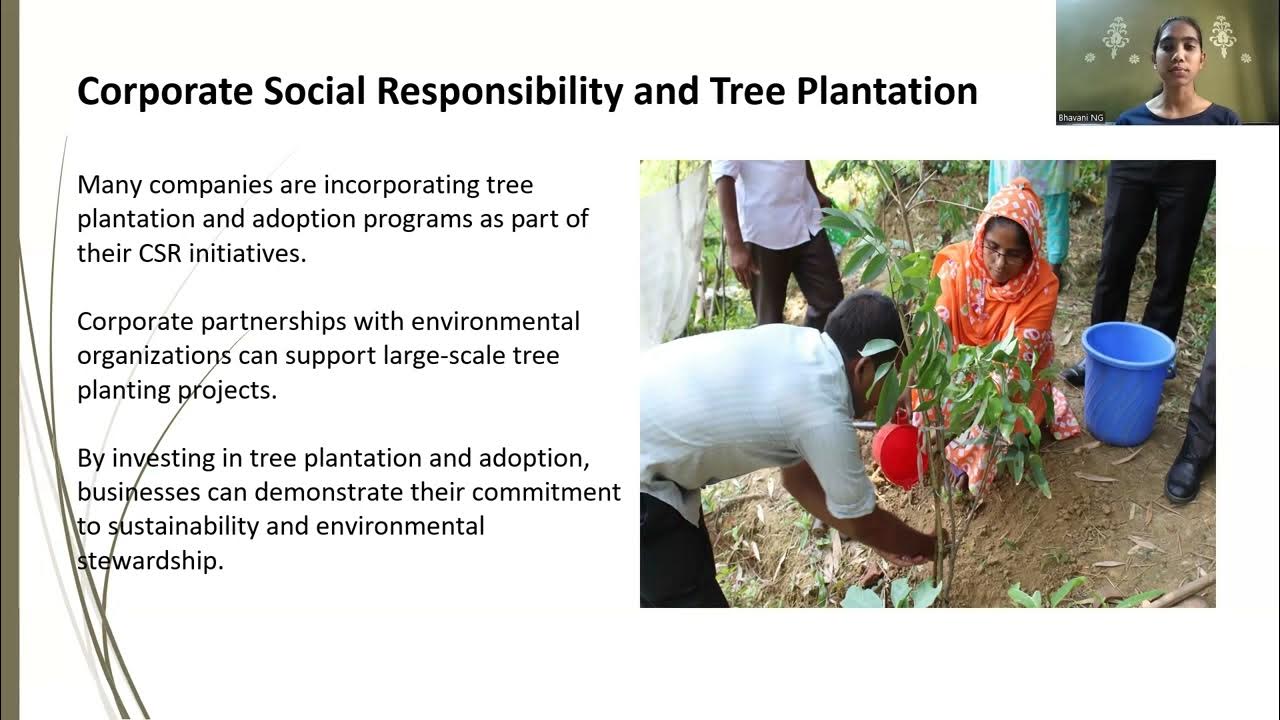 plantation and adoption of tree #SCR1 - YouTube