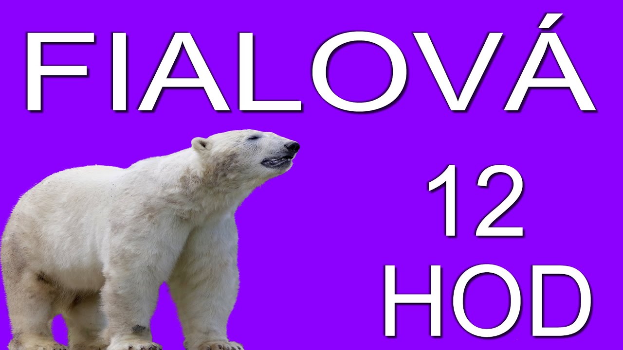 ÚPLNÁ OBRAZOVKA POZADIA FIALOVÁ 12 HOD - YouTube