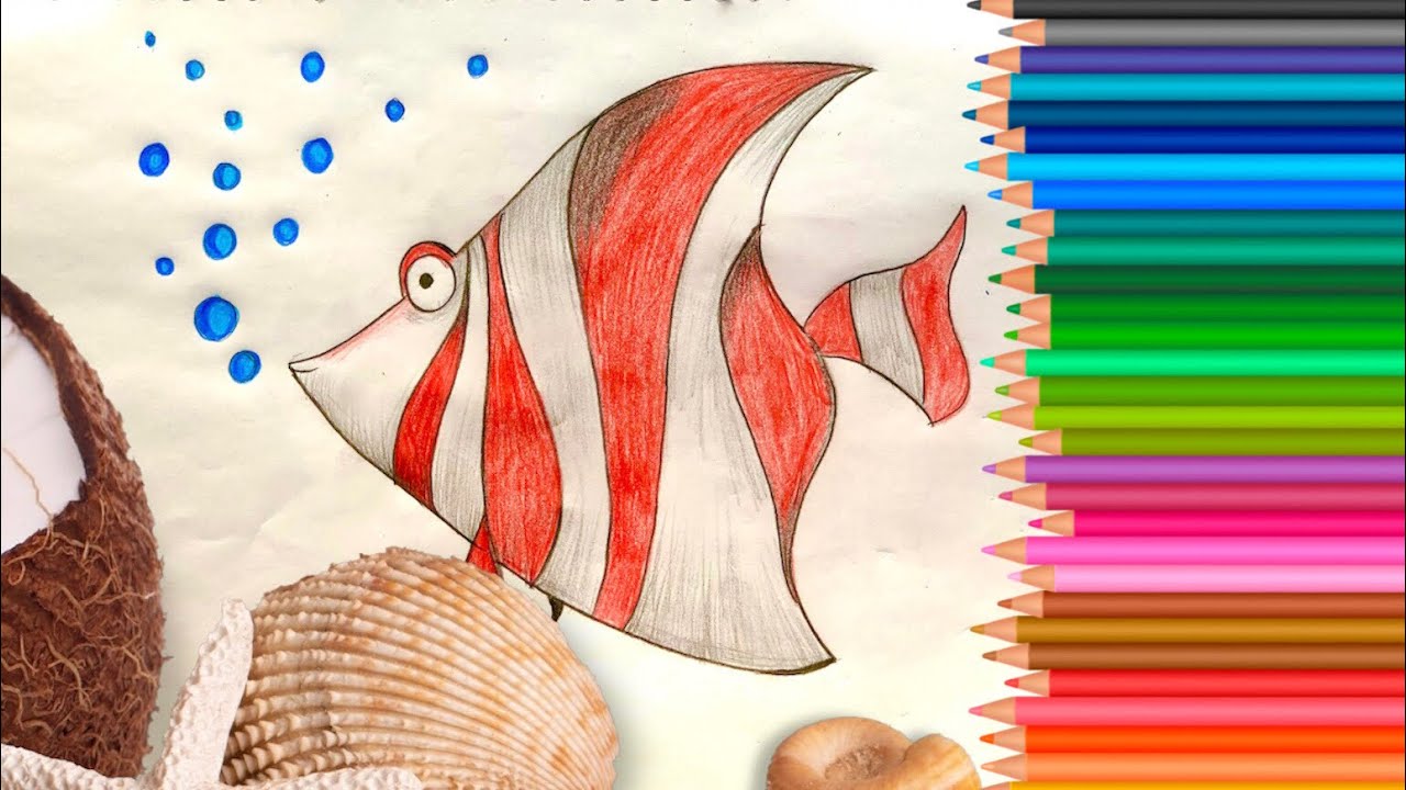 Easy Fish Drawing| How to Draw a Cute Fish With Colour Pencil step by ...
