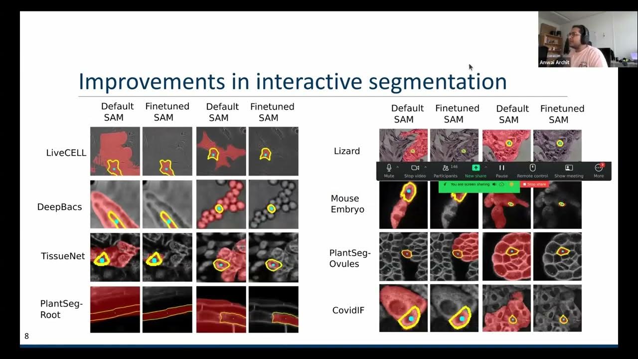 Segment Anything for Microscopy - YouTube