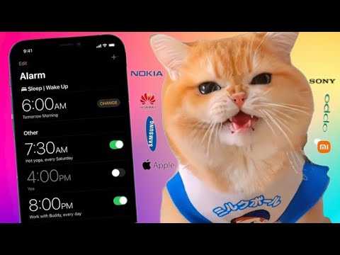 Cute cat meows but famous phone alarm - YouTube