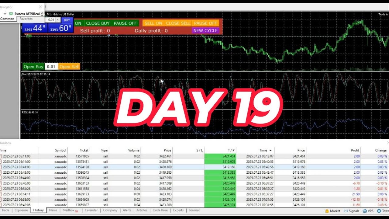 Exness Robo Forex Software 2025 🔥 | Best Forex Auto Trading Robot ...