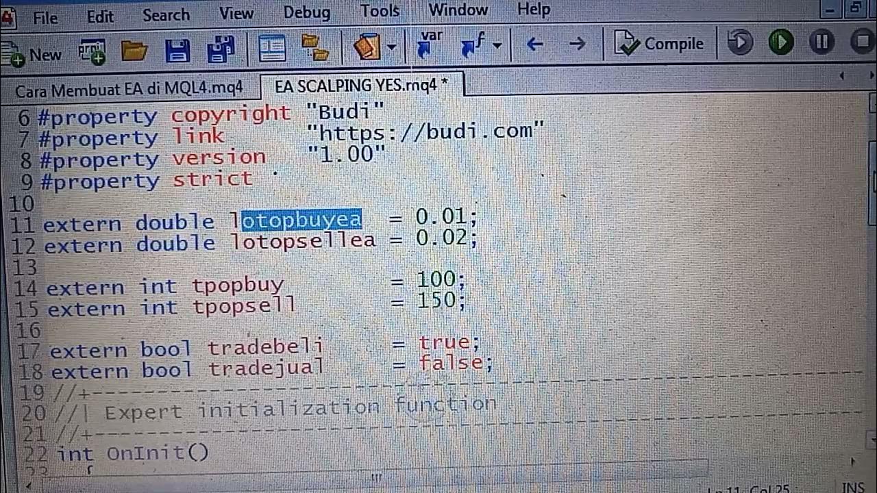 Cara Membuat Ea Robot Forex Dengan Mql4 Youtube