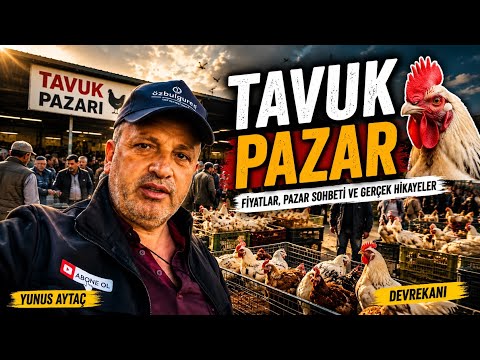  Devrekani Tavuk Pazarı’nda Yok Yok! Fiyatları da Sorduk, Vatandaşla da Konuştuk 