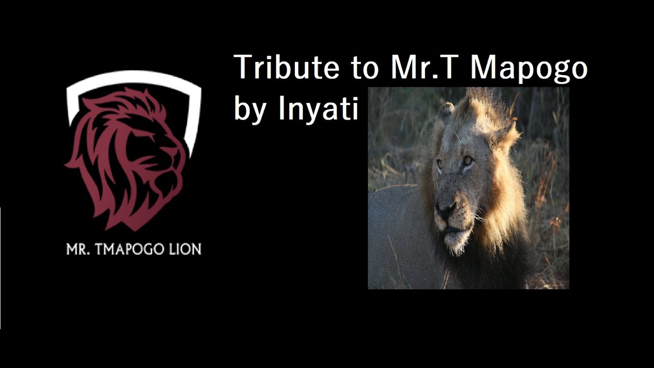 Tribute To Mr. T Mapogo by Inyati - YouTube
