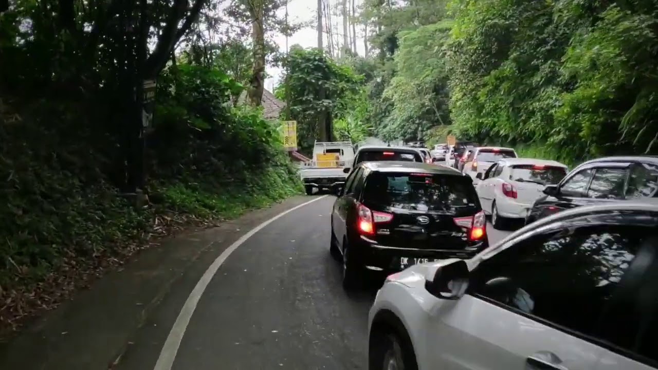 Adventure to Campuhan Antapan Waterfall! Short Way to the Nature! - YouTube