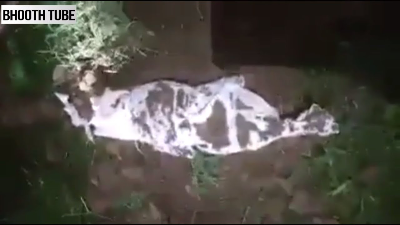 Very Dangerous Horror video Clip | Black Magic Real | Black Magic ...