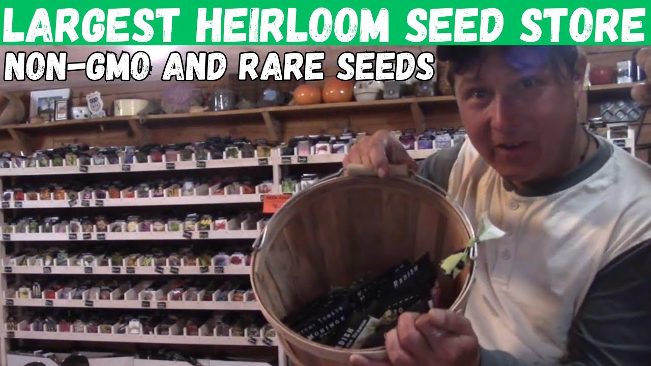 My Favorite Heirloom Seeds in Baker Creek's Massive Seed Store - YouTube