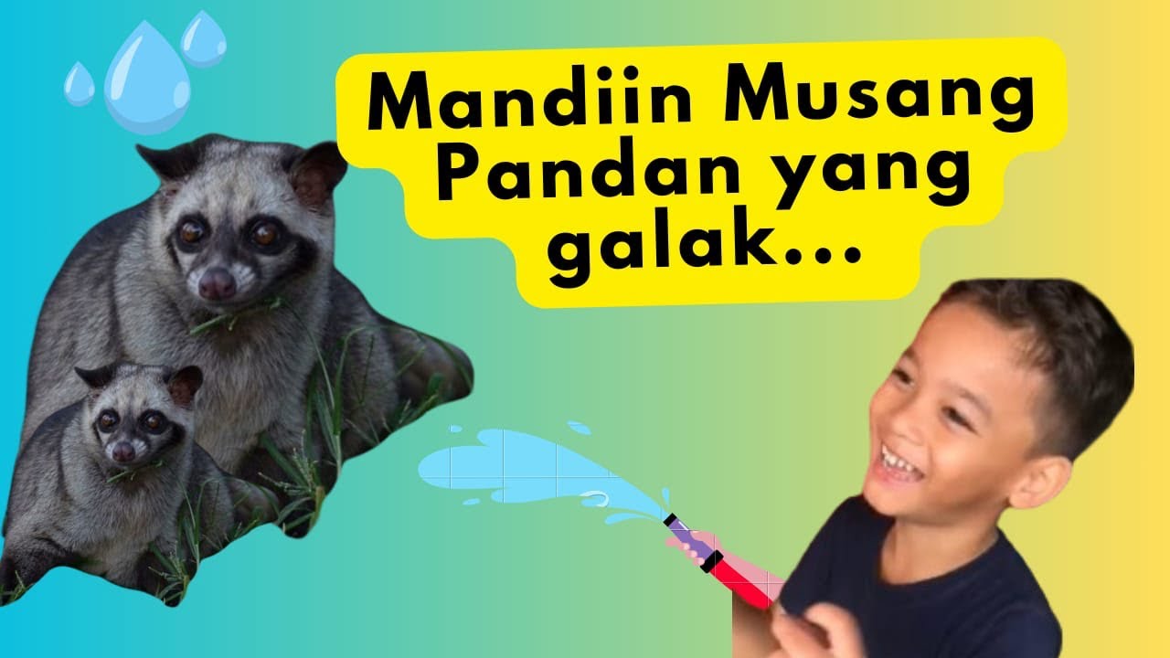 BINTANG MAU MANDIIN MUSANG-MUSANG KESAYANGAN - YouTube