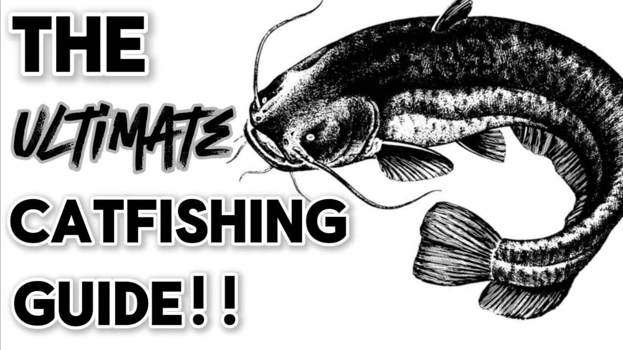 Ultimate Catfishing Guide: Top Tips, Best Rigs, and Irresistible Baits ...