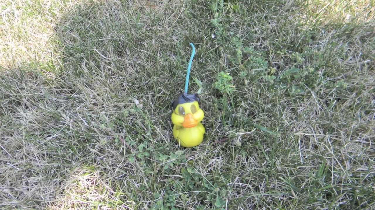 Duck Bomb 20 Grams of Flash Powder - YouTube