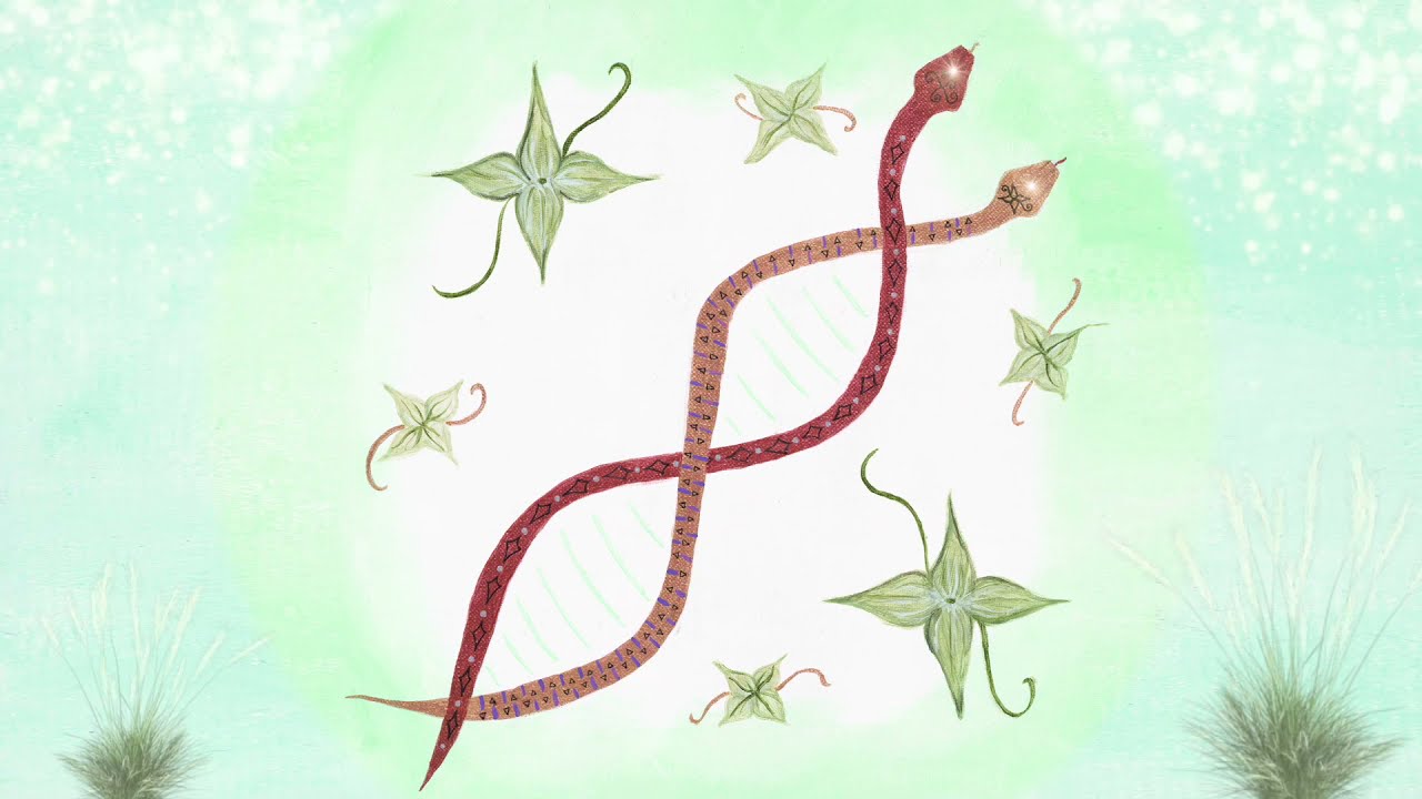 Naga DNA Interlaced Serpents - YouTube