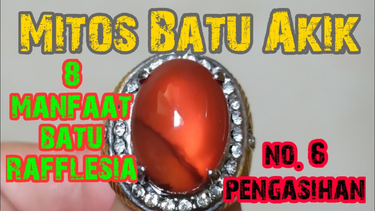 "MITOS" Batu Akik Red Rafflesia Untuk Pengasihan dan Keberuntungan ...