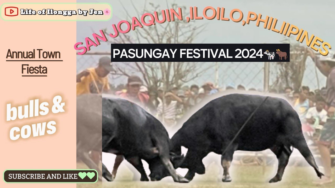 #7 Pasungay Festival 2024🐂🐄🎊 San Joaquin, Iloilo City, Philippines ...