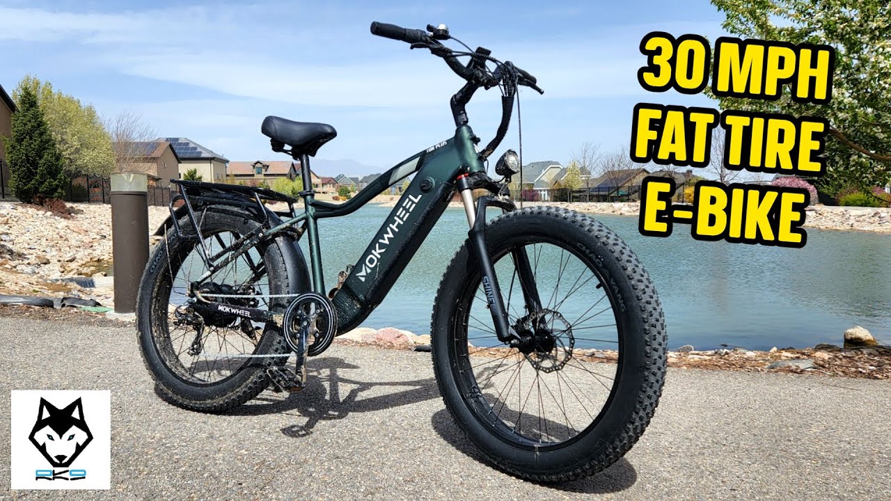 Mokwheel Tor Plus Review: An All-Terrain Monster E-Bike - YouTube