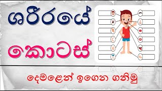 body parts name in tamil |shariraye kotas demalen |ශරීර... | Doovi